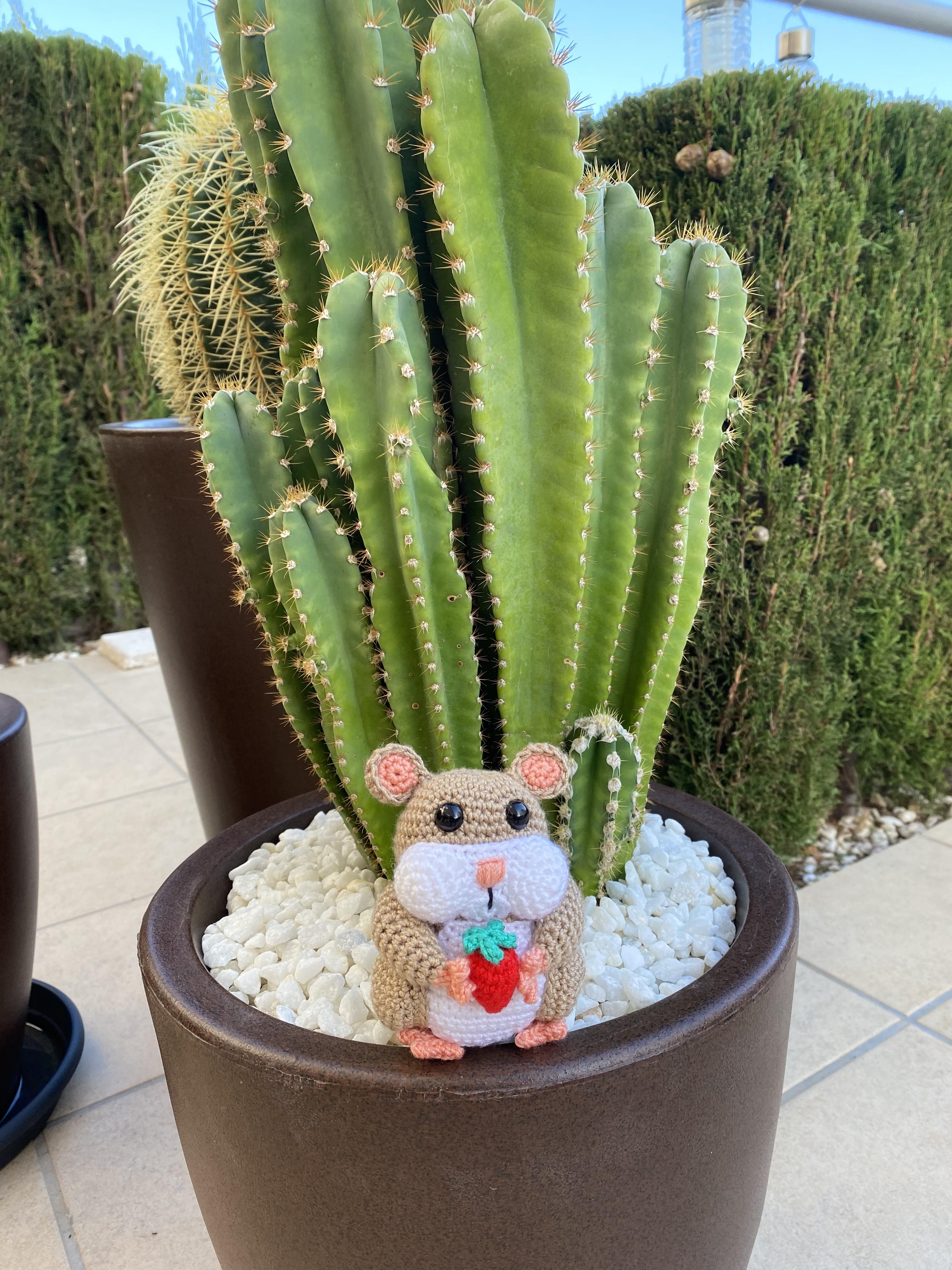 Amigurumi.com - Creations - Hamish the Hamster from Zoomigurumi 7