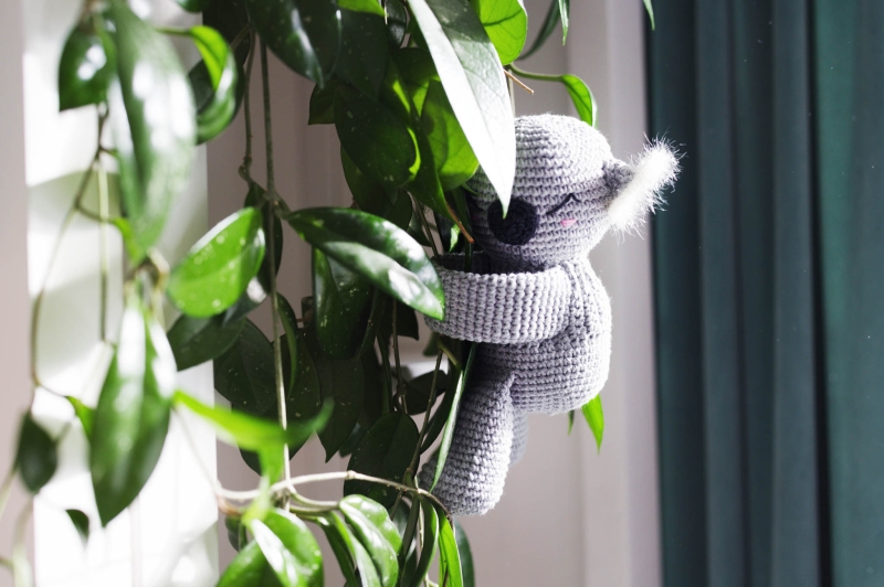 Clingy Koala Snap Bracelet amigurumi pattern - Amigurumi.com