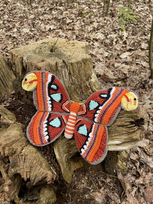 Atlas Moth amigurumi pattern - Amigurumi.com