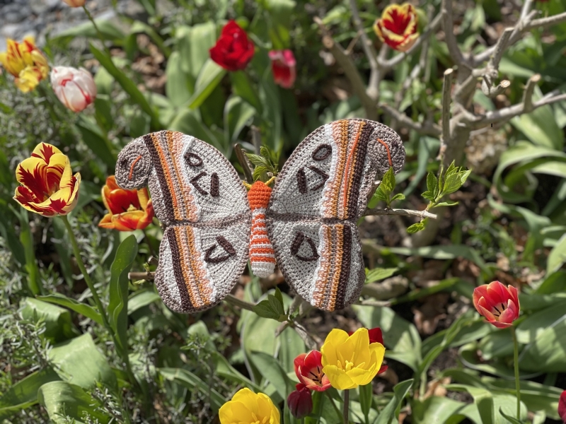 Atlas Moth amigurumi pattern - Amigurumi.com