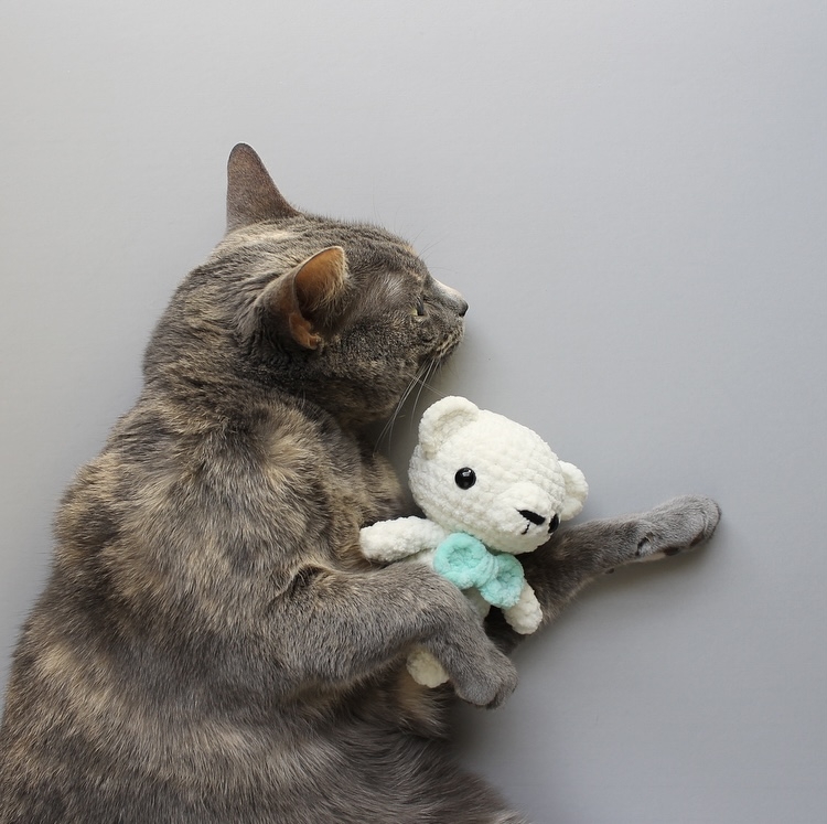 Pedro the Polar Bear amigurumi pattern - Amigurumi.com