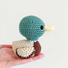 Mini Ducks amigurumi pattern - Amigurumi.com
