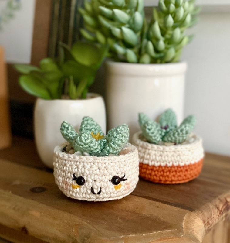 Baby Jade Plant amigurumi pattern - Amigurumi.com
