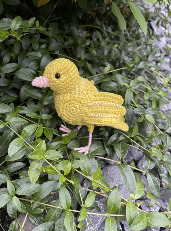 Canary amigurumi pattern - Amigurumi.com