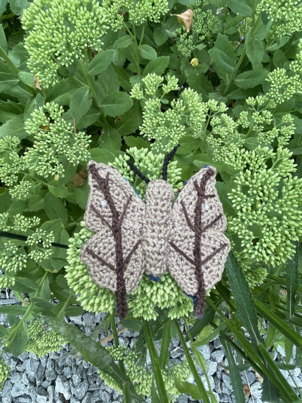 Indian leaf Butterfly amigurumi pattern - Amigurumi.com
