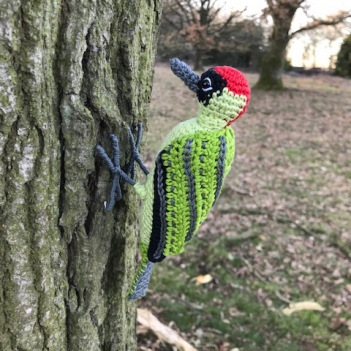 Green Woodpecker amigurumi pattern - Amigurumi.com